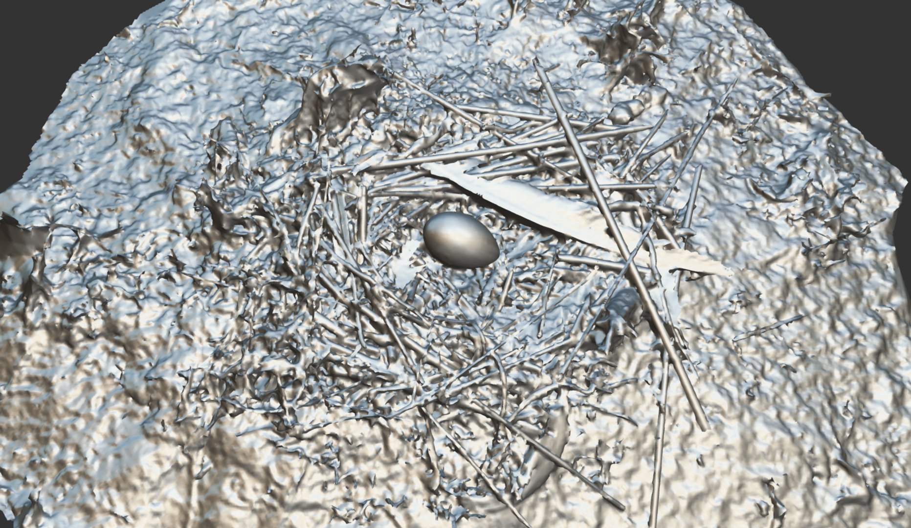 3D Scanned Bird Nest Egg Model - TurboSquid 1428688