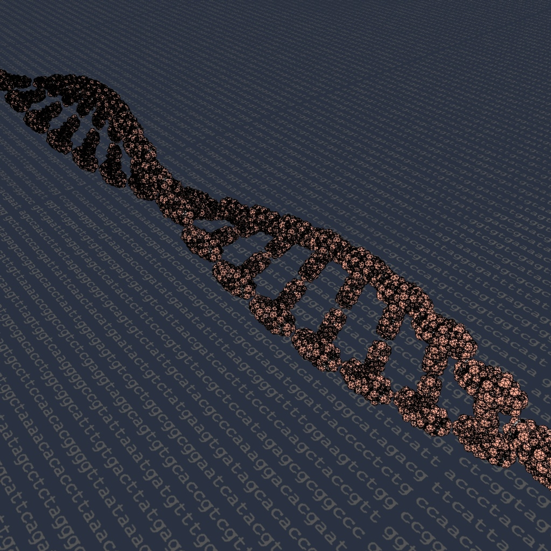 Blender Dna