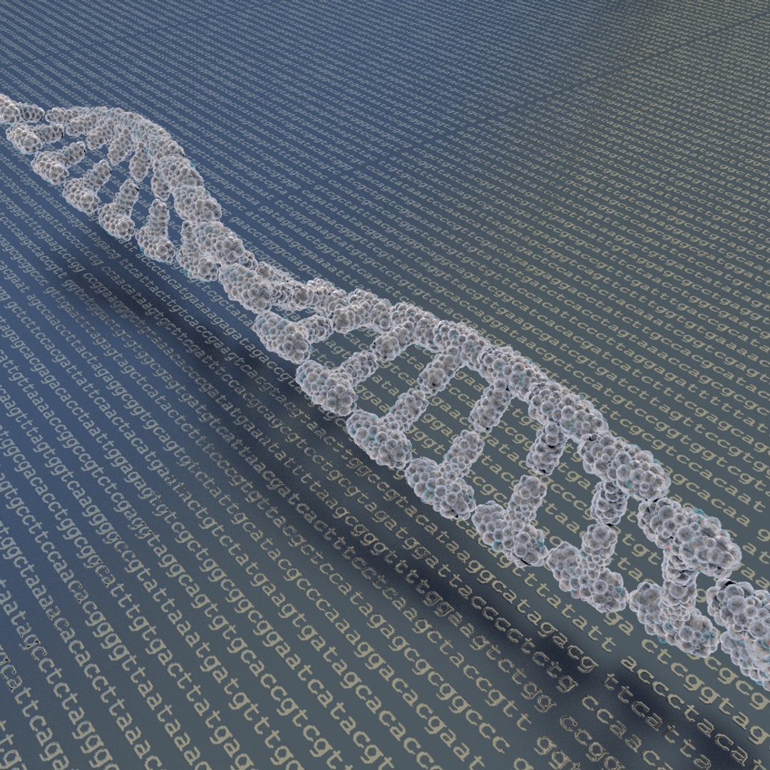 Blender Dna