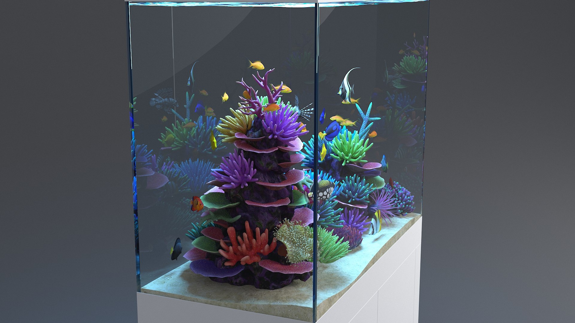 3D model aquarium 03 - TurboSquid 1501613