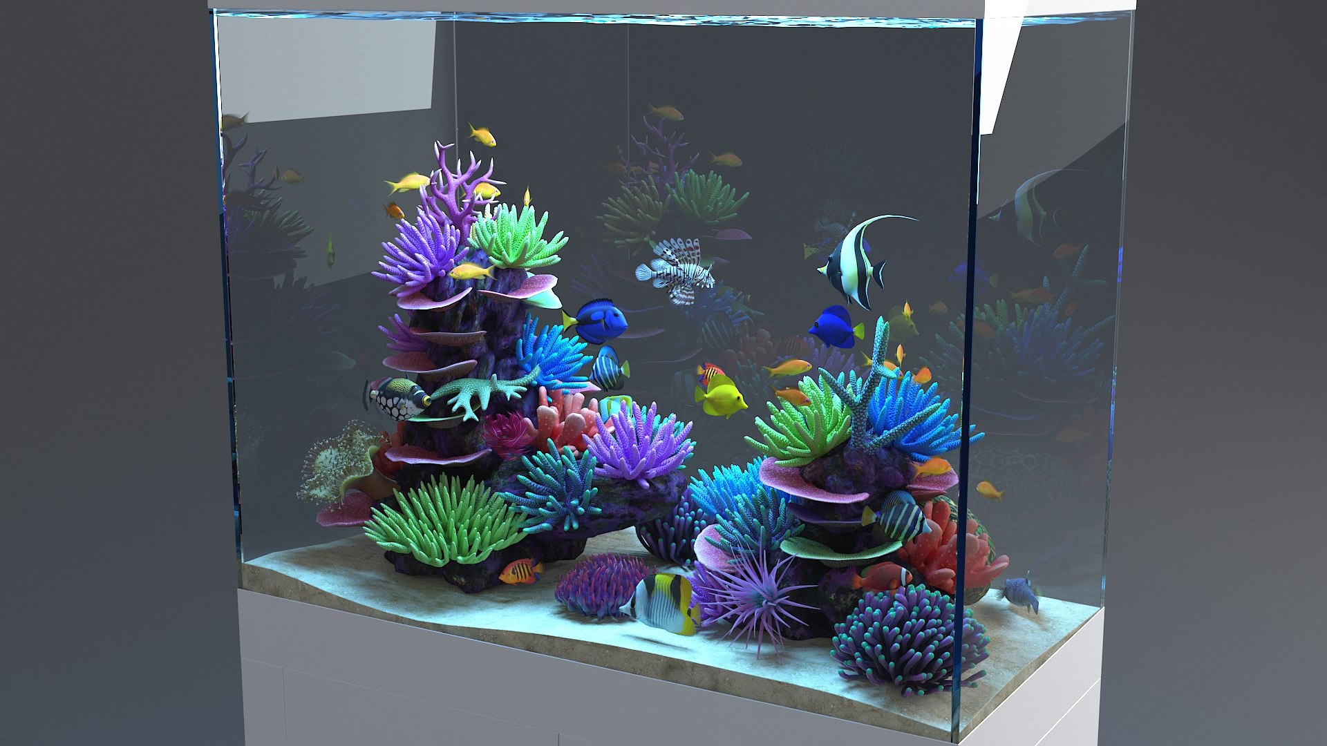 3D model aquarium 03 - TurboSquid 1501613