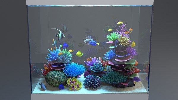 3D model aquarium 03 - TurboSquid 1501613