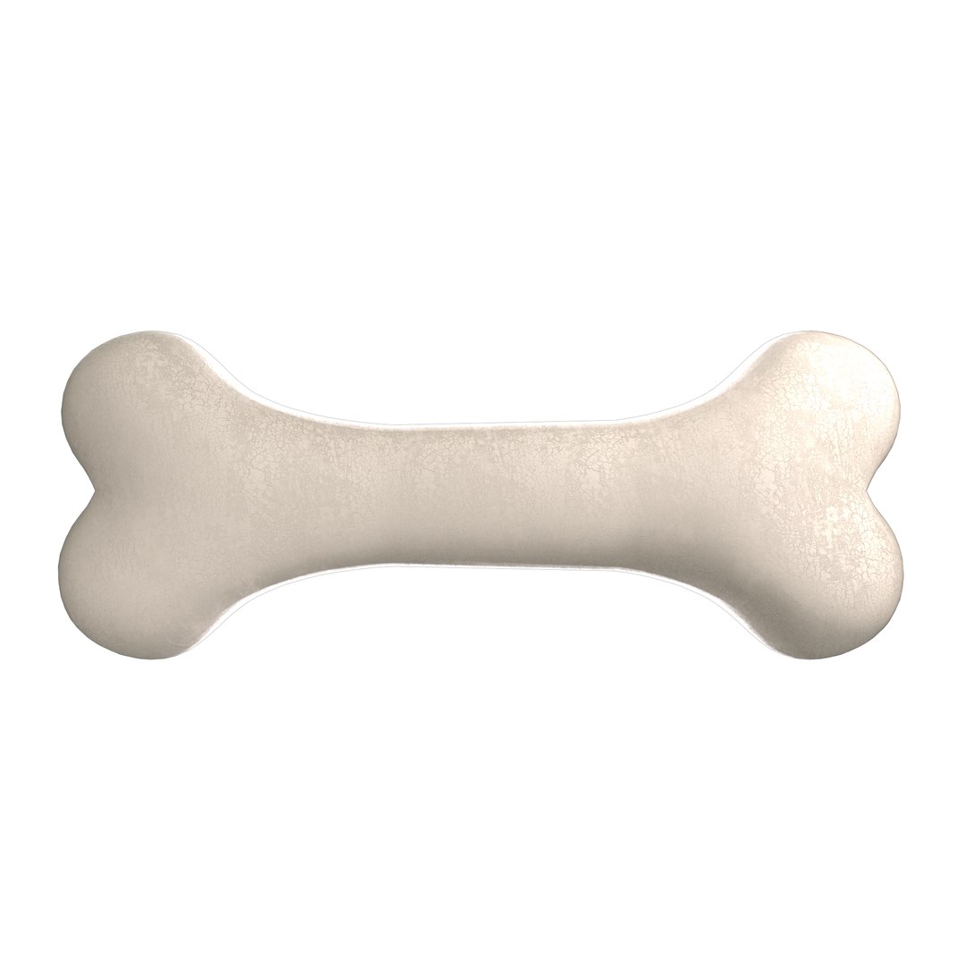 3D Femur Bone Model - TurboSquid 2342552