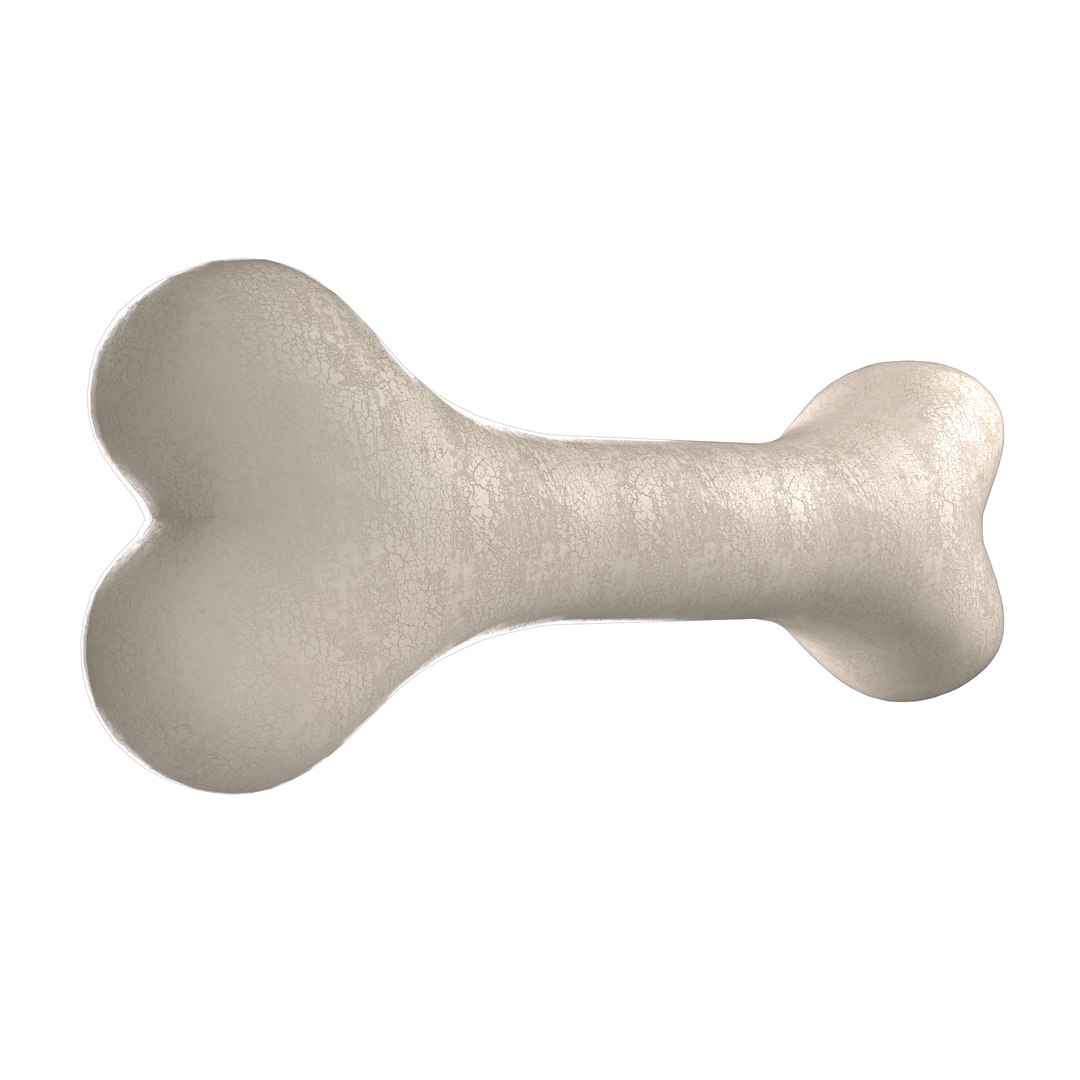 3D Femur Bone Model - TurboSquid 2342552