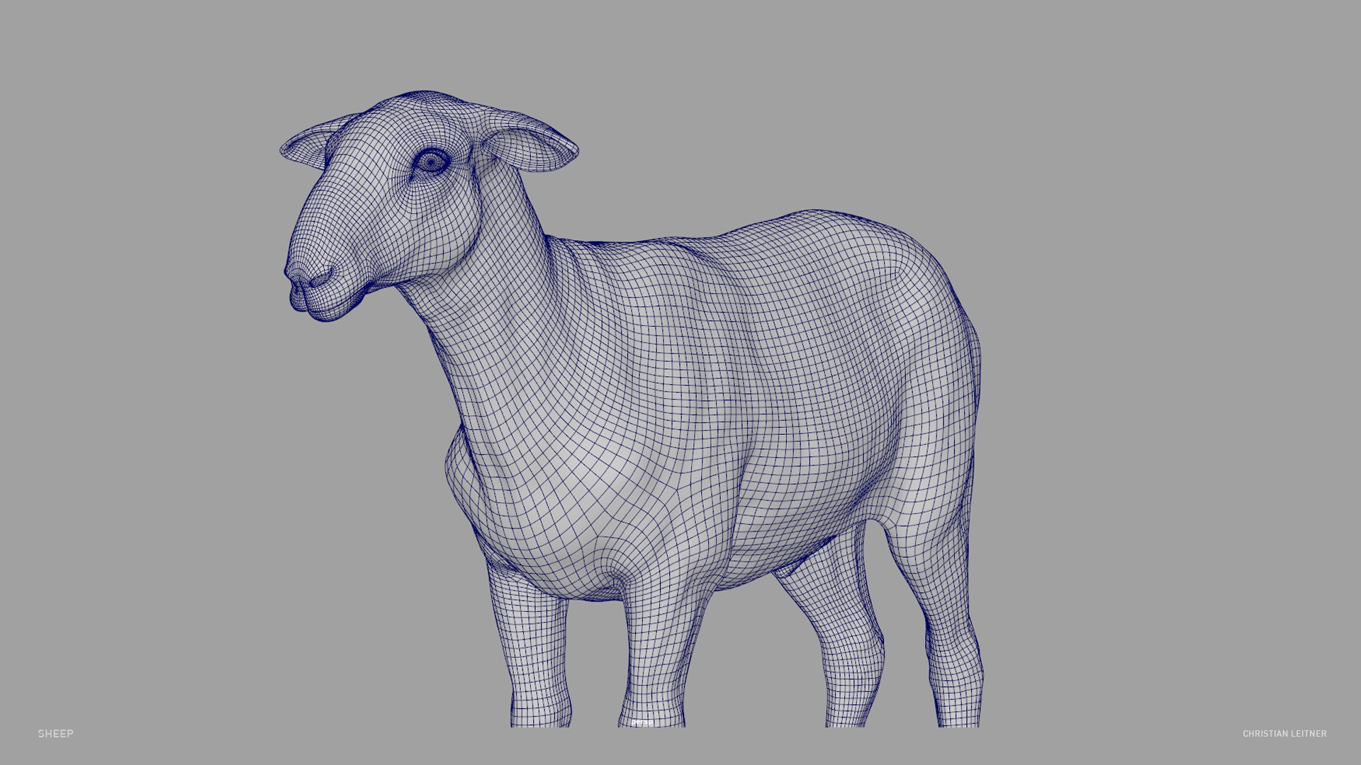 Sheep 3D Model - TurboSquid 1799062