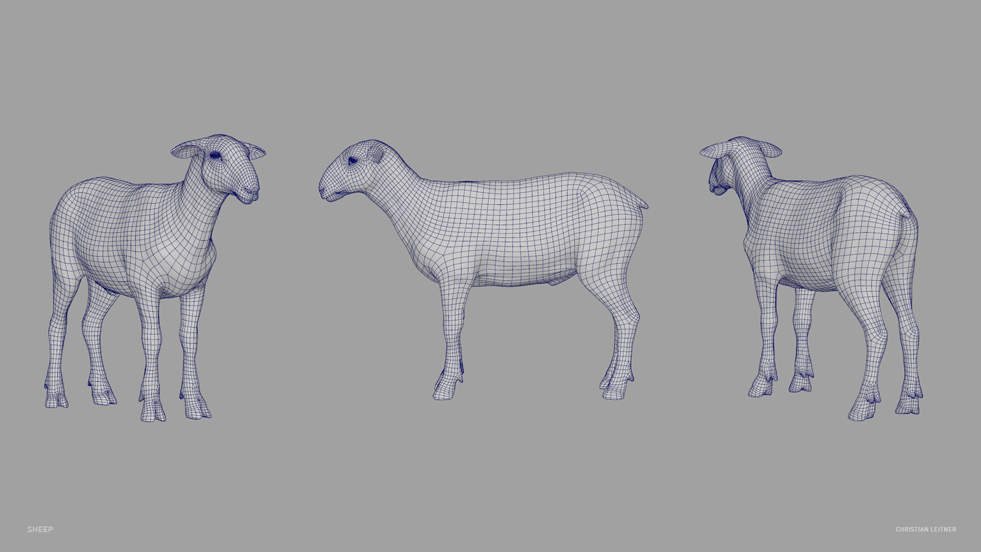 Sheep 3D model - TurboSquid 1799062