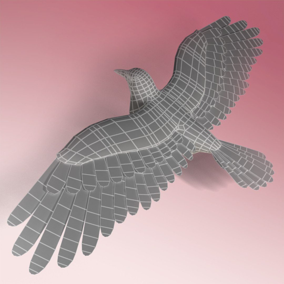 crow wings flying max