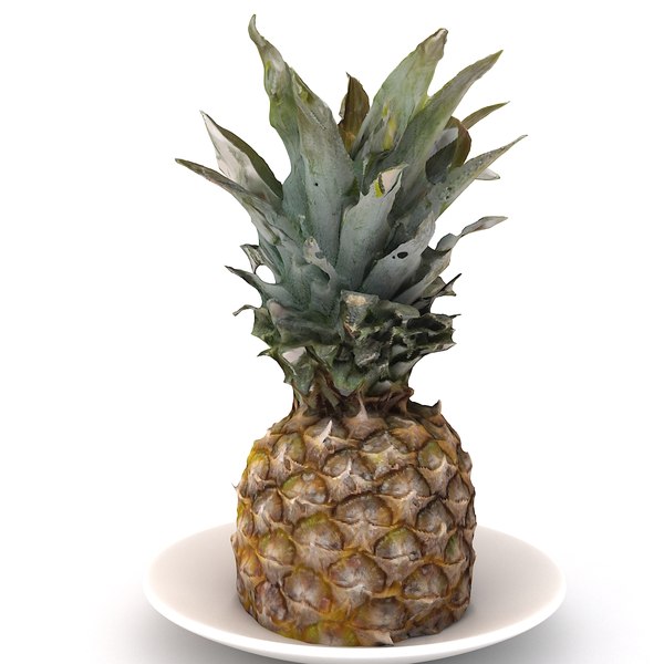 3d realistic pineapple model