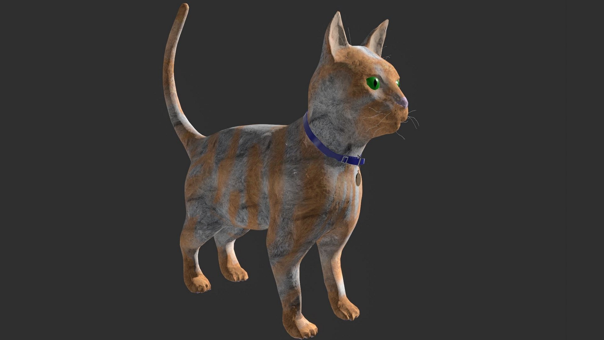 Cat Low Poly Model 3D Model - TurboSquid 2052887