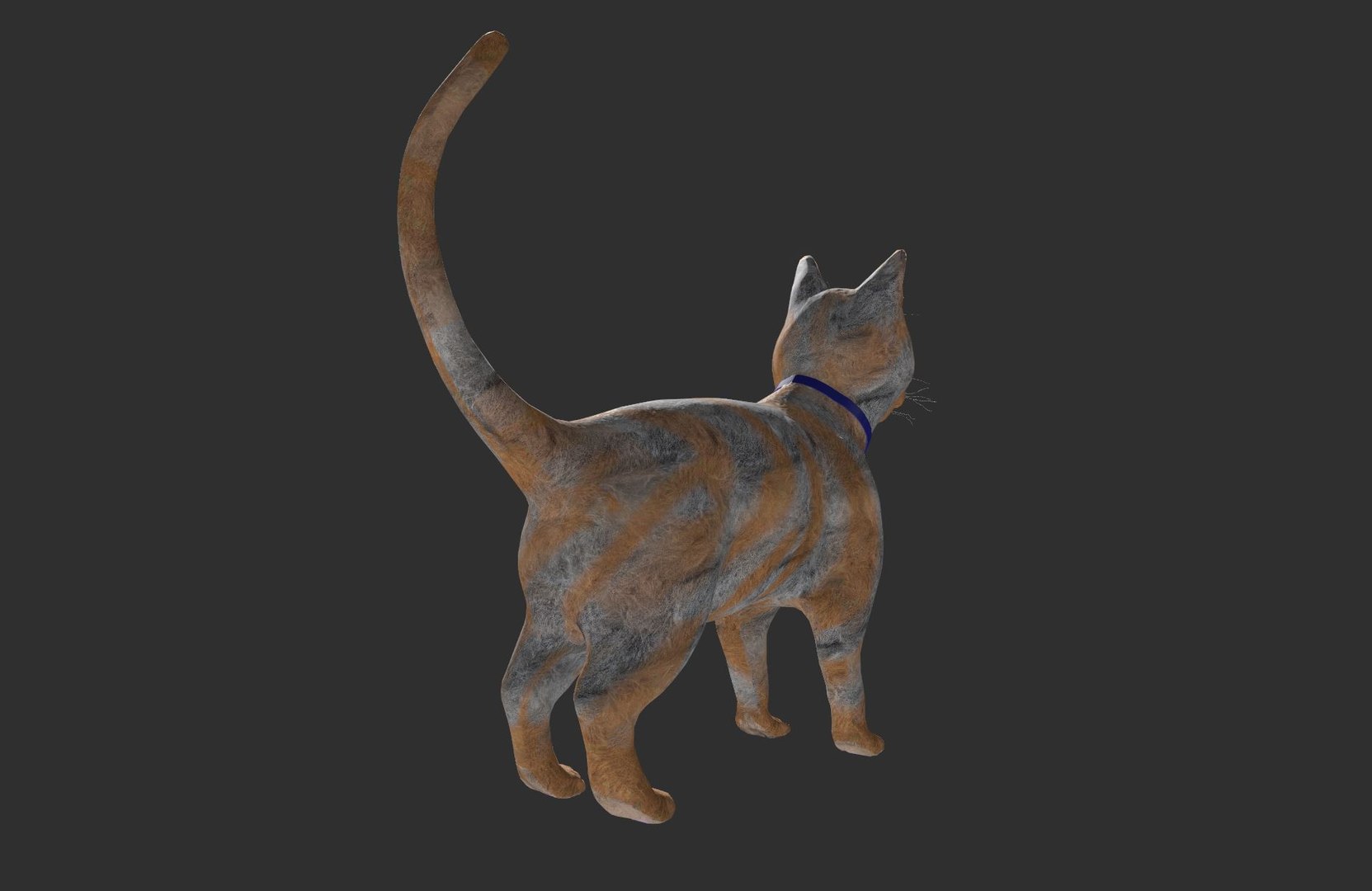 Cat Low Poly Model 3D Model - TurboSquid 2052887