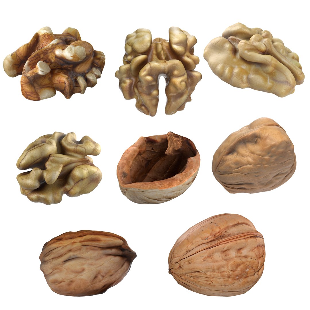 3D Walnut Collection Model - TurboSquid 2407979
