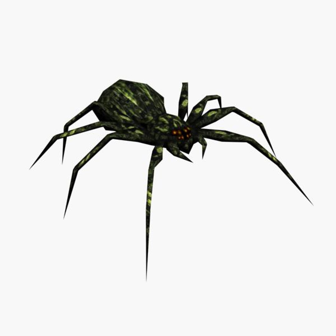 Max Low-poly Spider