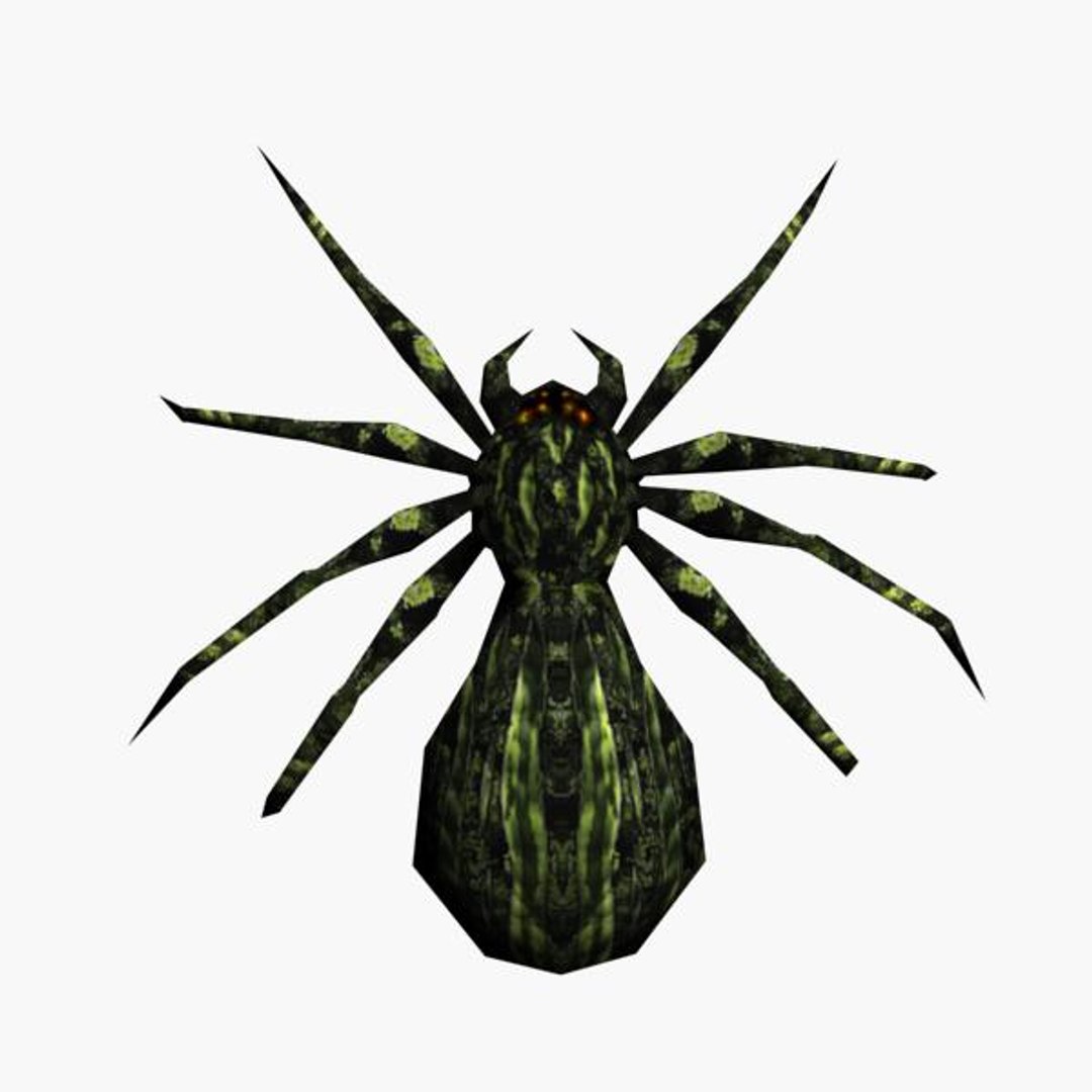 Max Low-poly Spider