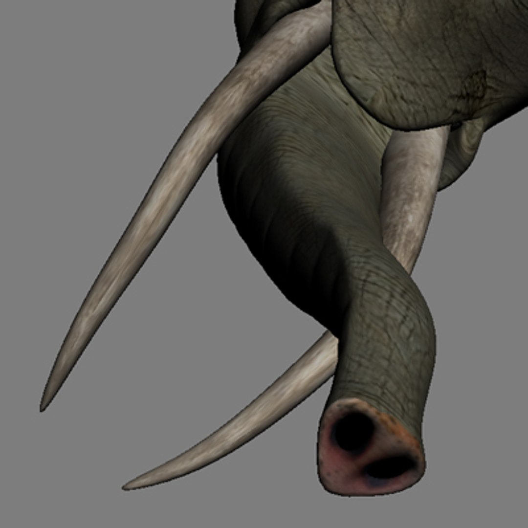 Max Elephant Rigged Polys Animation