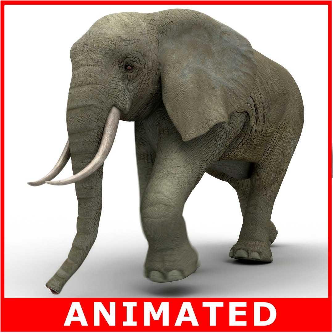 Max Elephant Rigged Polys Animation