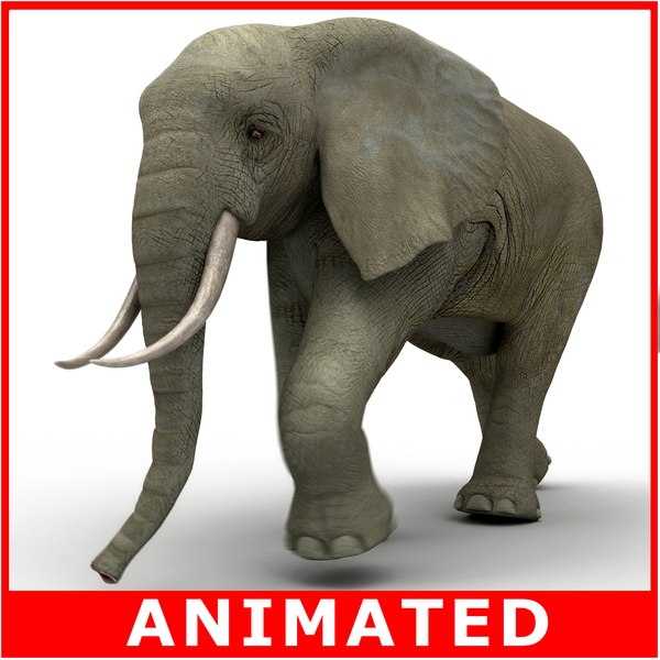 Free 3D Elephant Models | TurboSquid