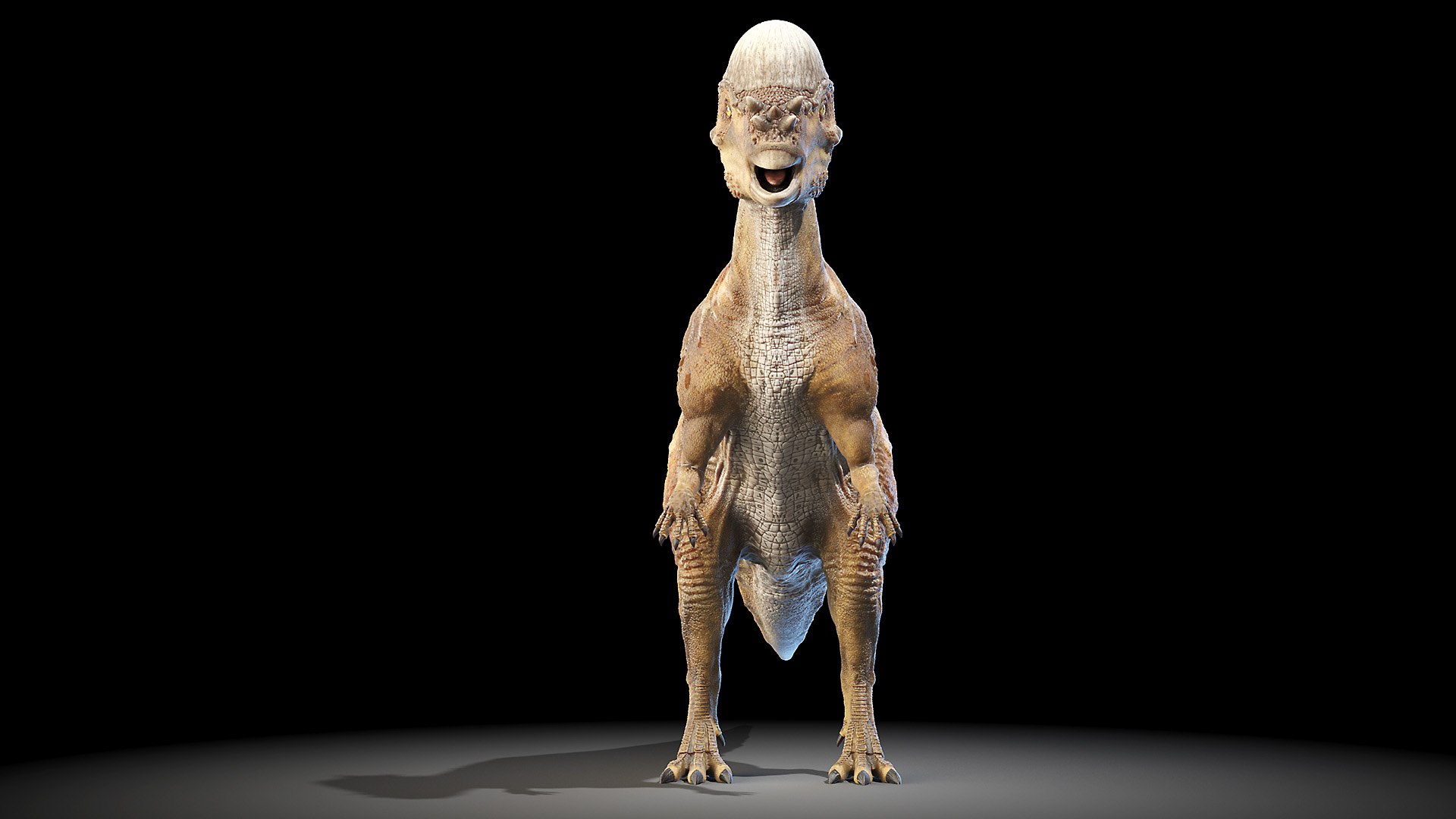3D Pachycephalosaurus P Model - TurboSquid 1669419