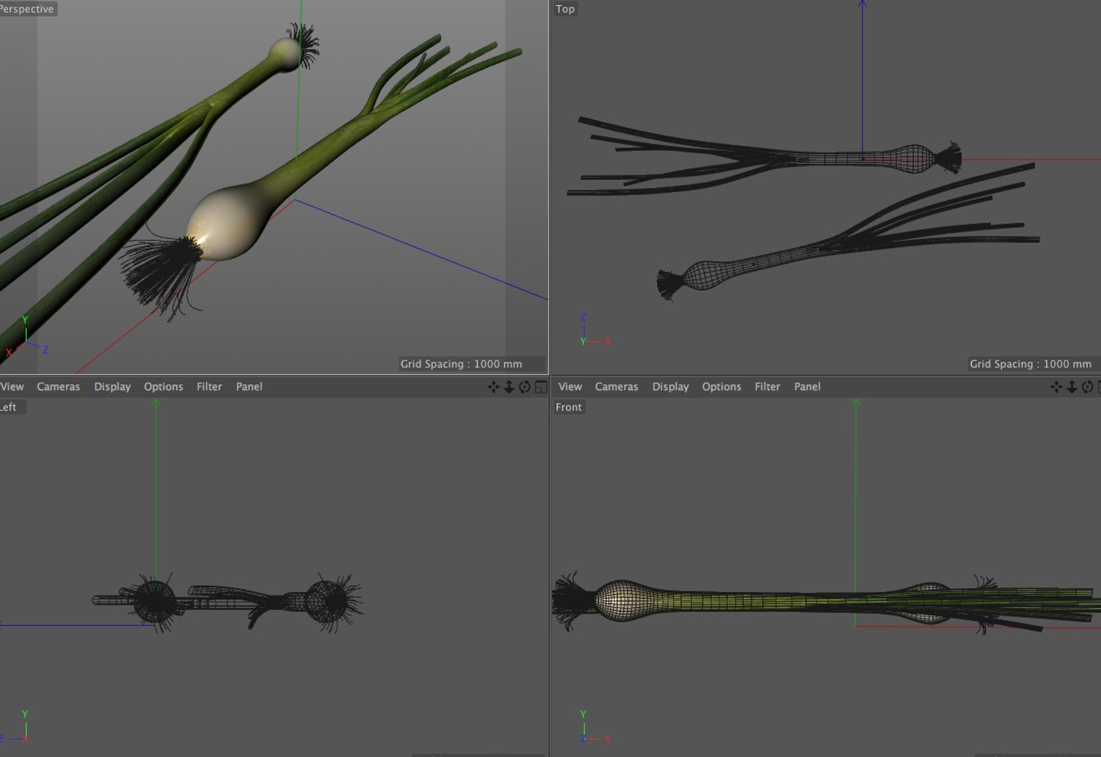 3D Onion - TurboSquid 1544533