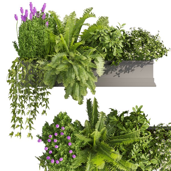 Collection plant vol 416 - Indoor - balcony - blender - 3dmax - cinema ...