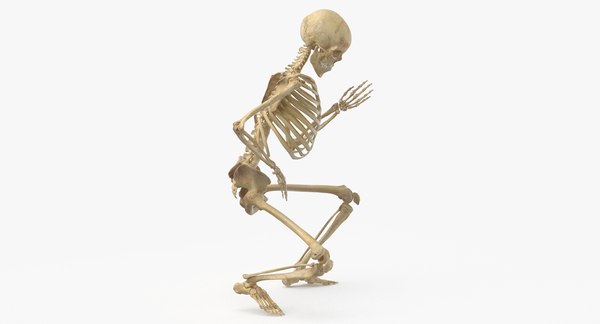 Real human female skeleton model - TurboSquid 1692511