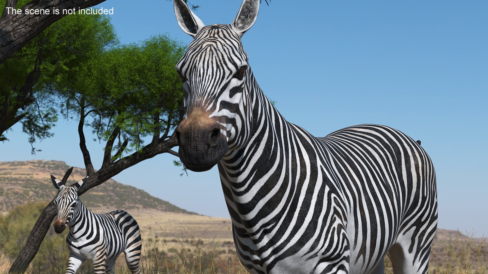 Striped Equine Running For 3D Print 3D Model - TurboSquid 2372403