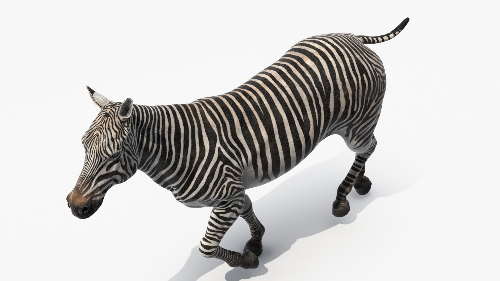 Striped Equine Running For 3D Print 3D Model - TurboSquid 2372403