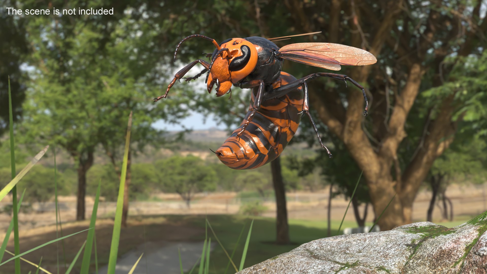 3D Northern Giant Hornet Attack Pose Model - TurboSquid 2274887
