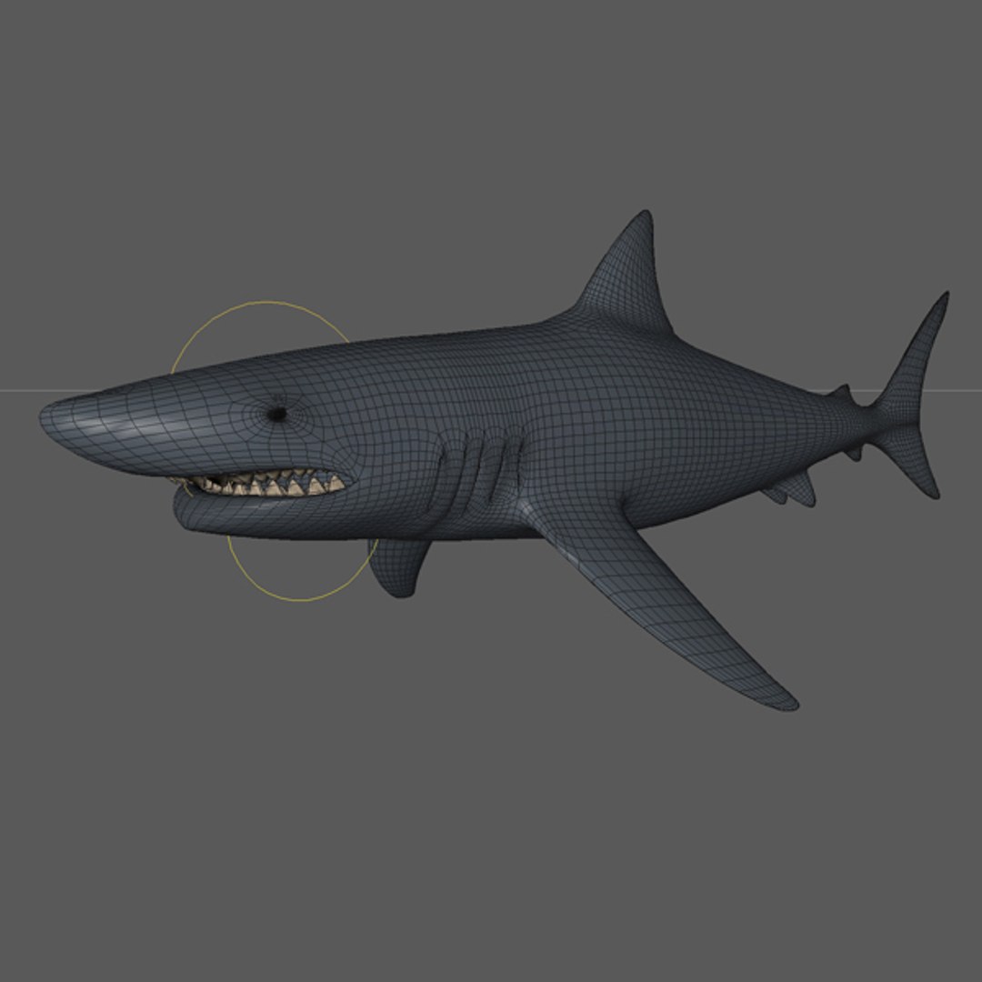 c4d giant shark megalodon