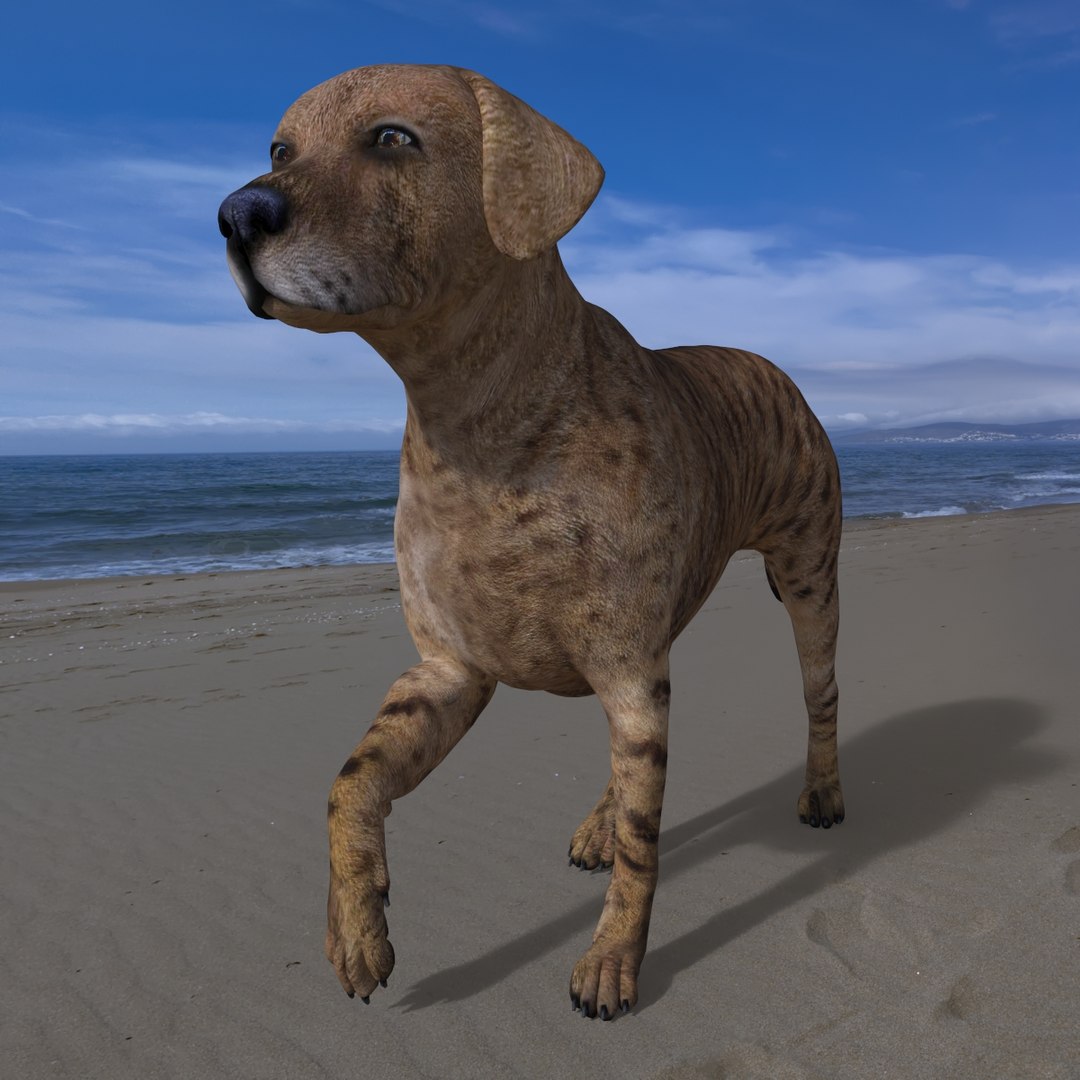 LAB-021 Dog Walking 3D Model - TurboSquid 1914414