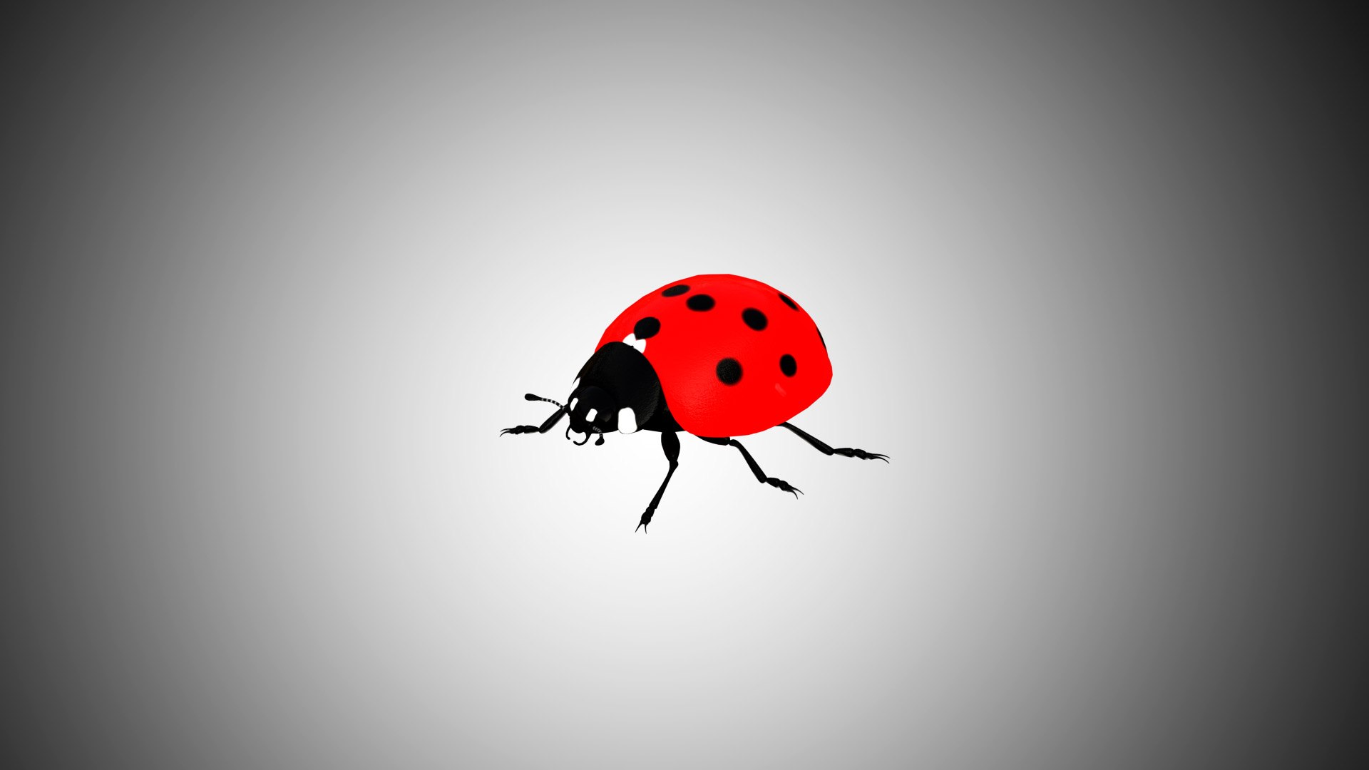 Ladybug Rigged 3D Model - TurboSquid 1588443