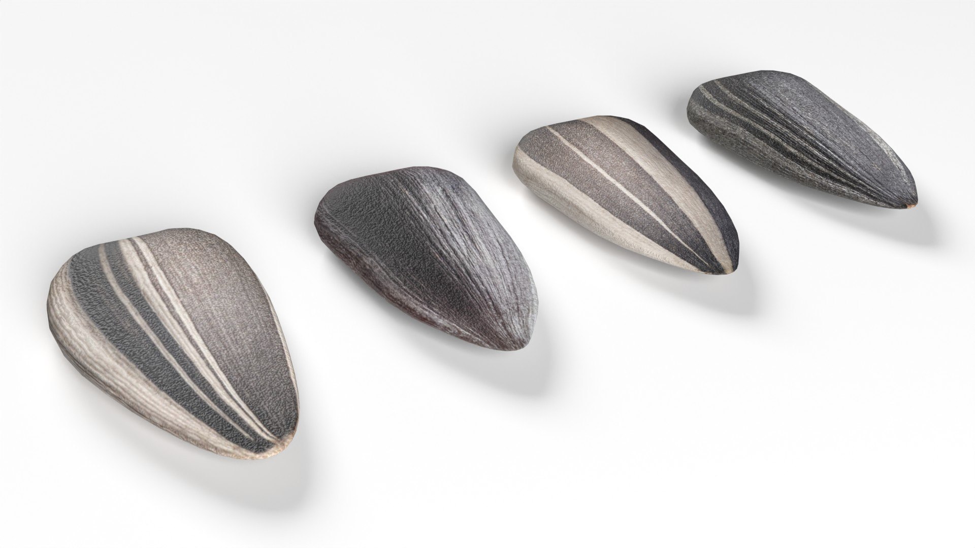 Sunflower Seeds Collection 3D Model - TurboSquid 2397330