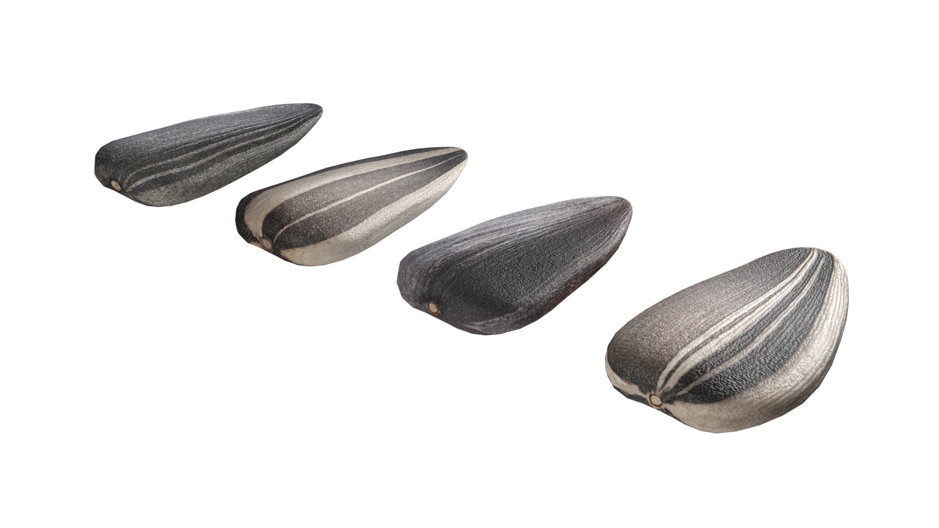 Sunflower Seeds Collection 3D Model - TurboSquid 2397330