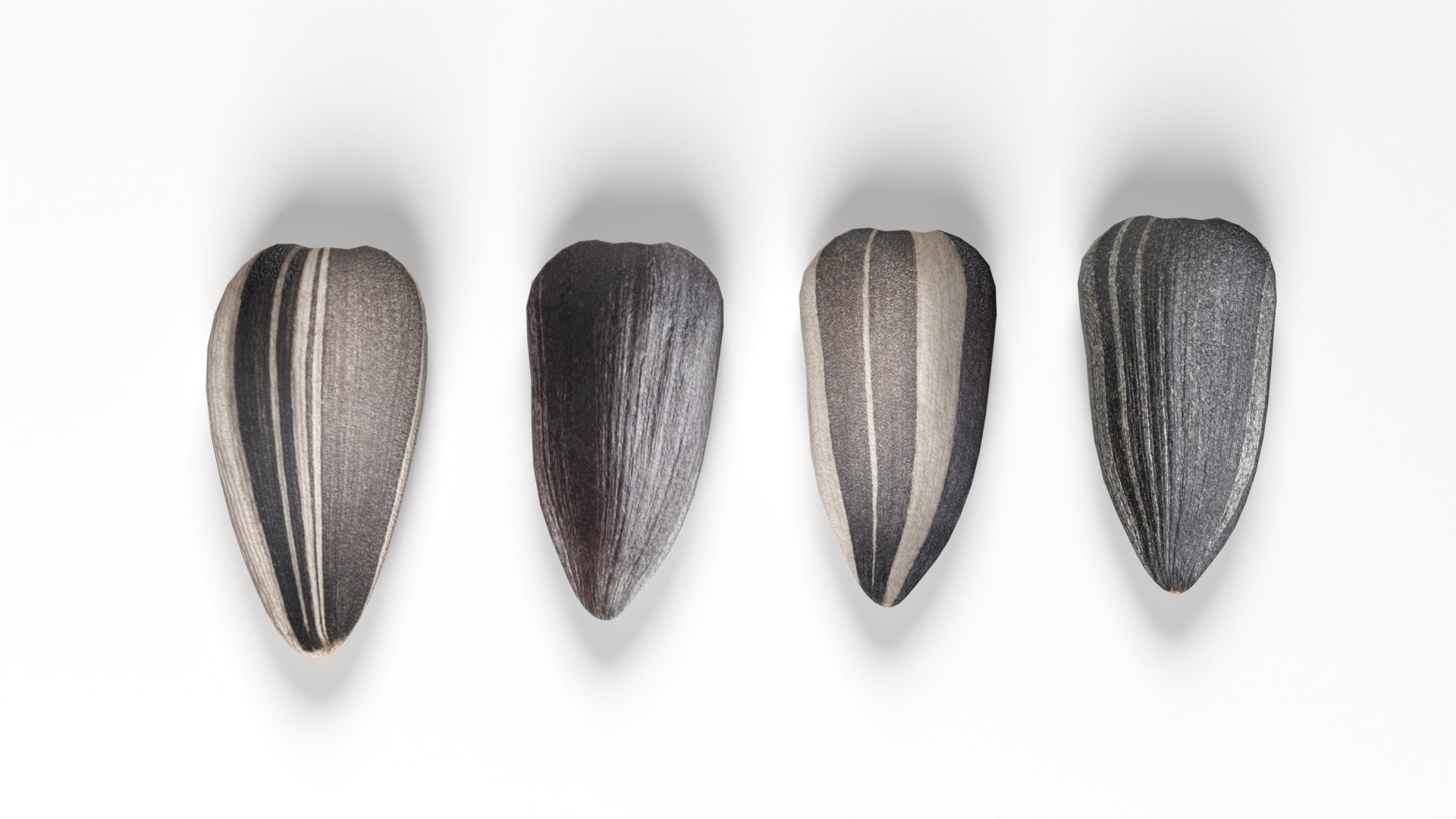 Sunflower Seeds Collection 3D Model - TurboSquid 2397330