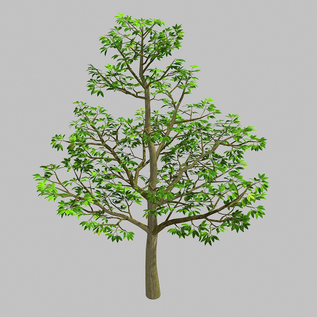 Forest Plants - Trees 3D Model - TurboSquid 1449215