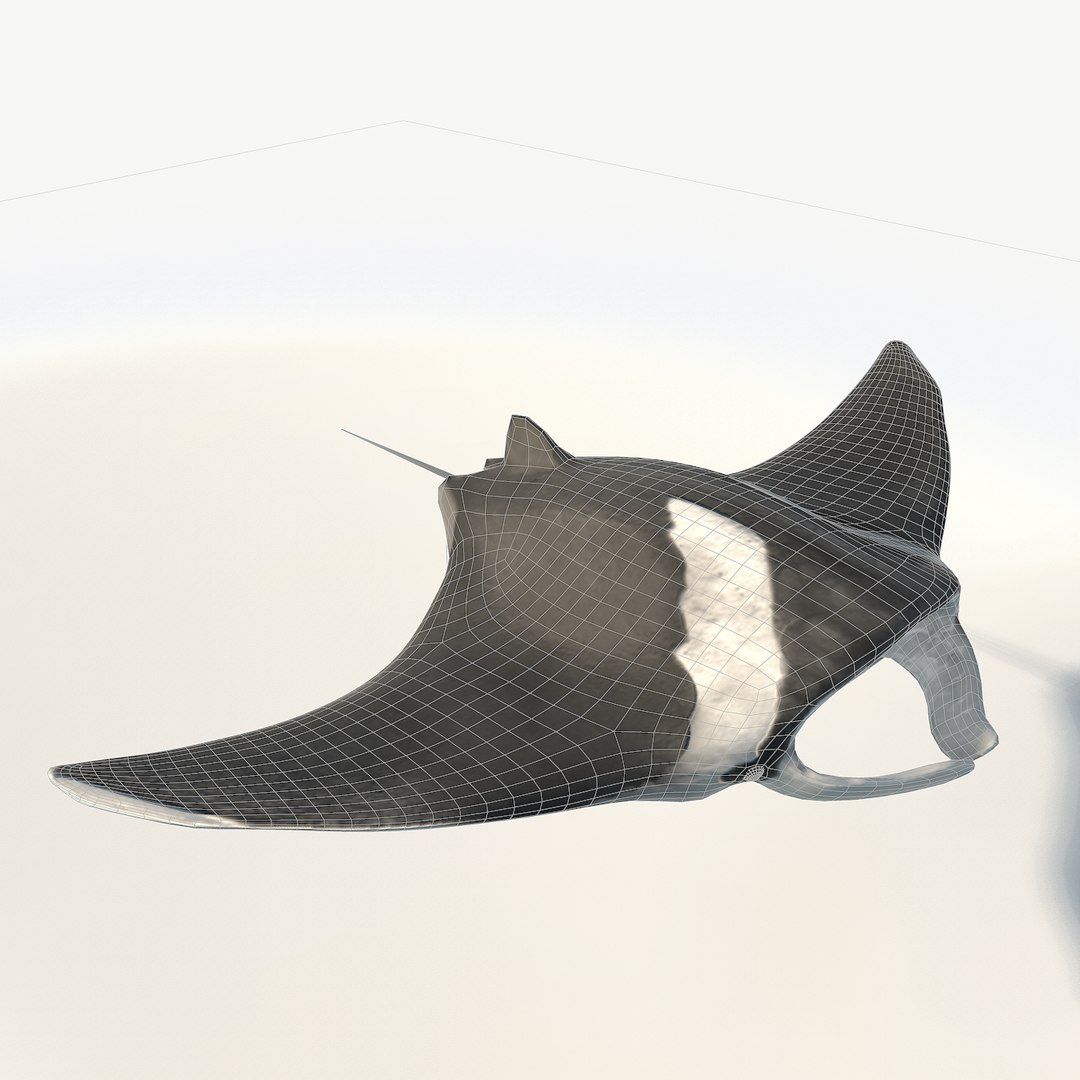3d Manta Games
