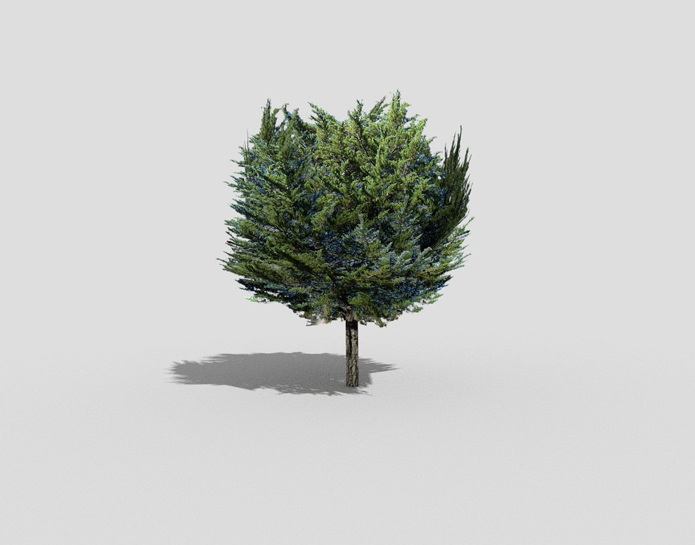 3d model tree landscape