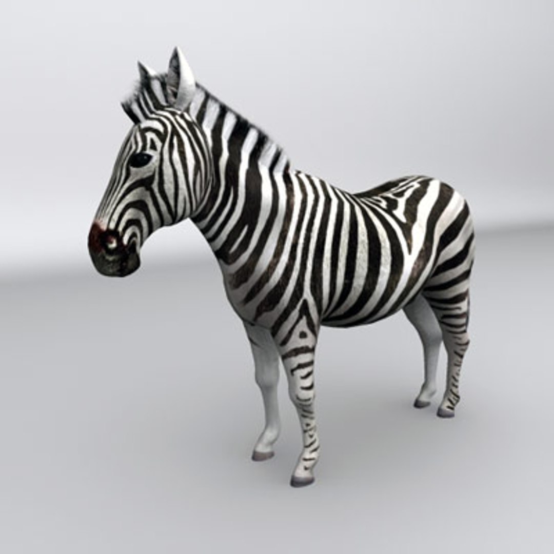 3d Zebra Animal Model