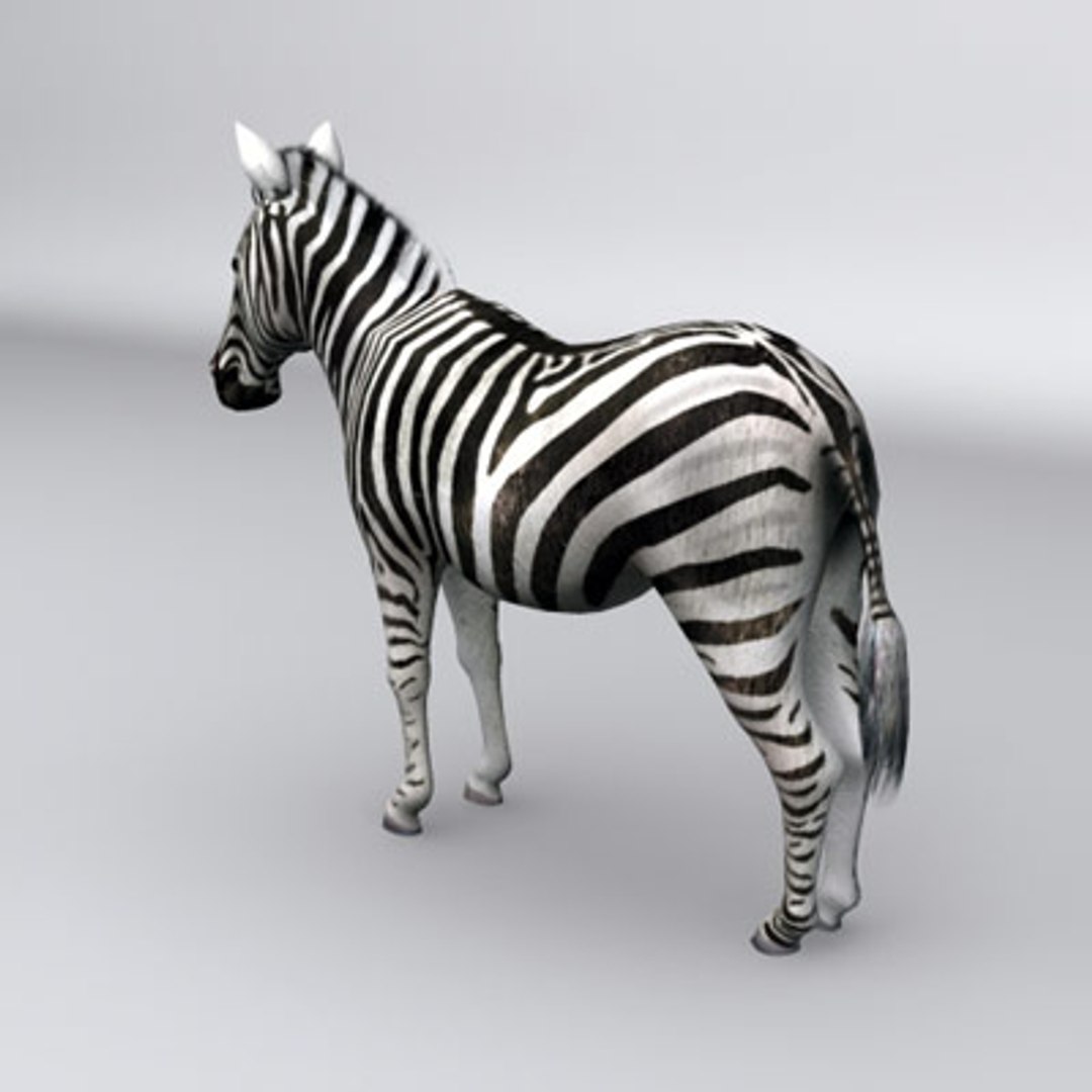3d Zebra Animal Model