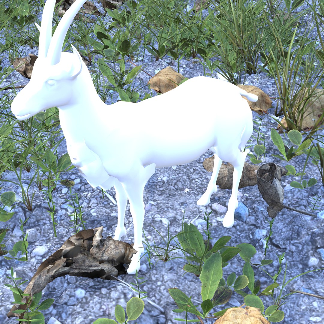 ANTELOPE 3D model - TurboSquid 2097255