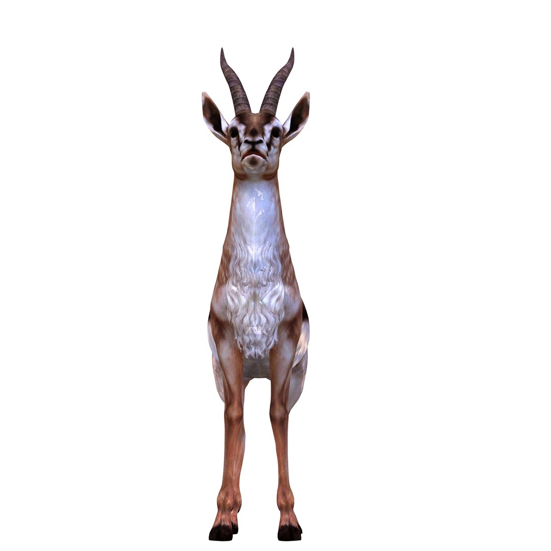 ANTELOPE 3D model - TurboSquid 2097255