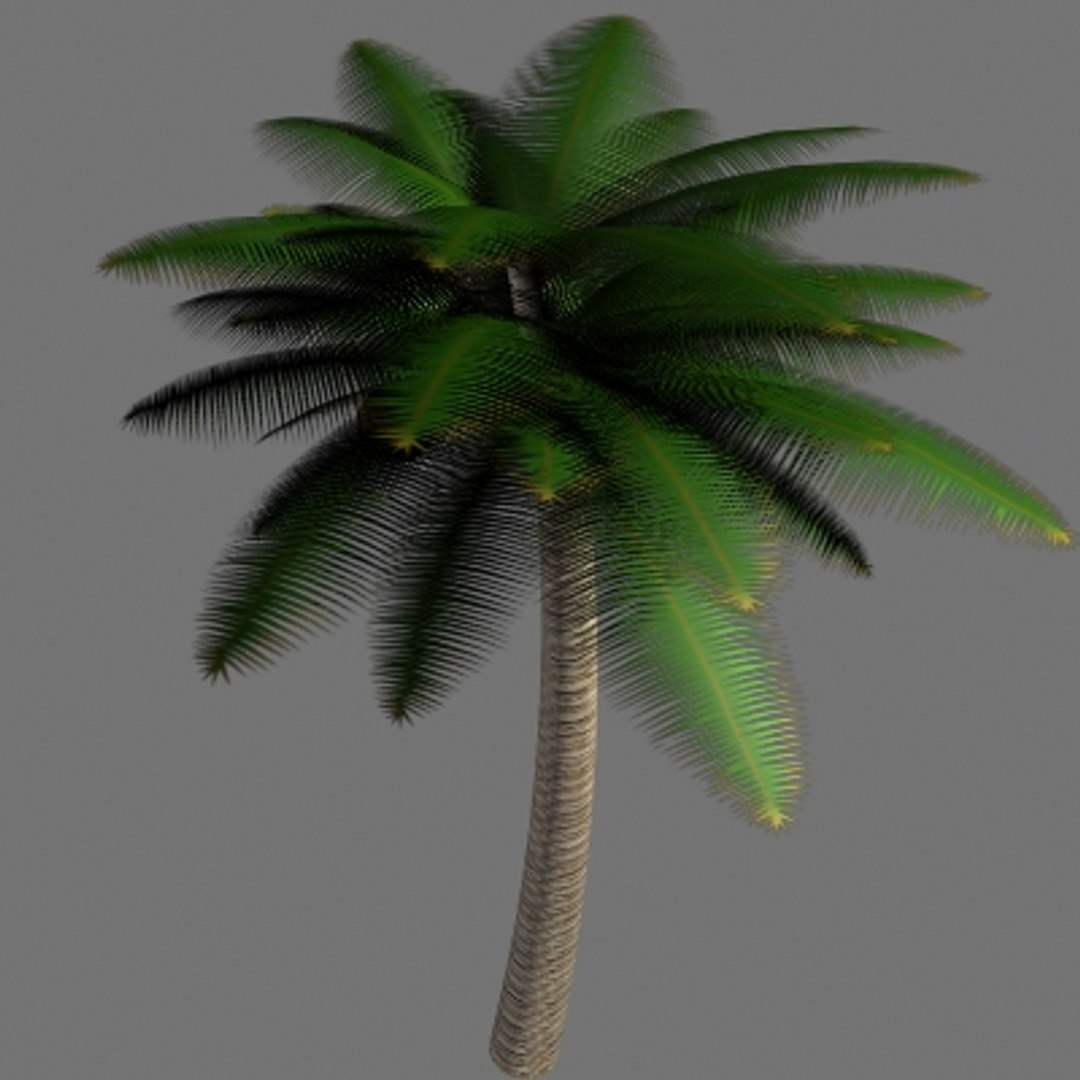 Palm Tree 3d 3ds