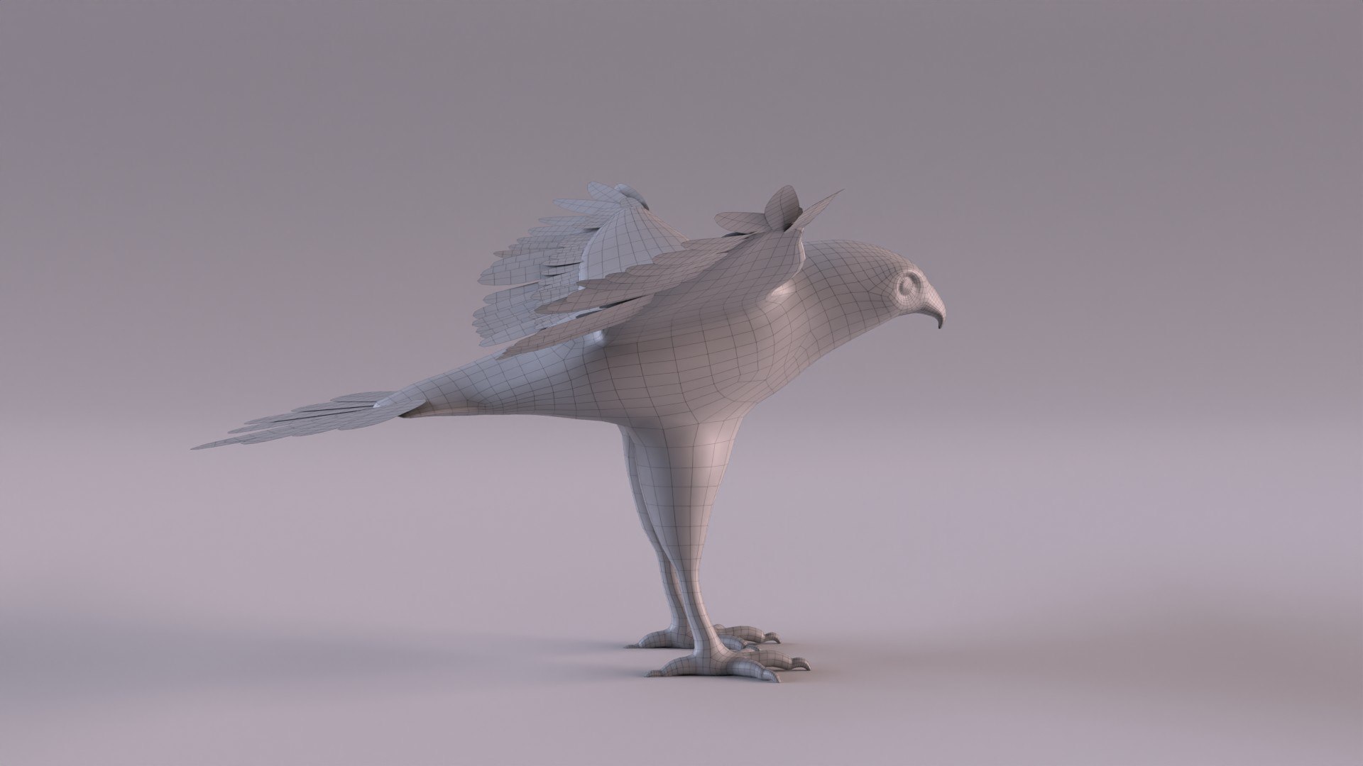 3D harris hawk model - TurboSquid 1201244