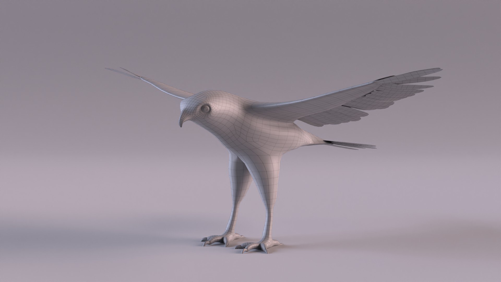 3D harris hawk model - TurboSquid 1201244