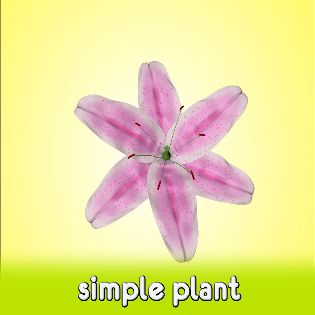 free flower 3d model