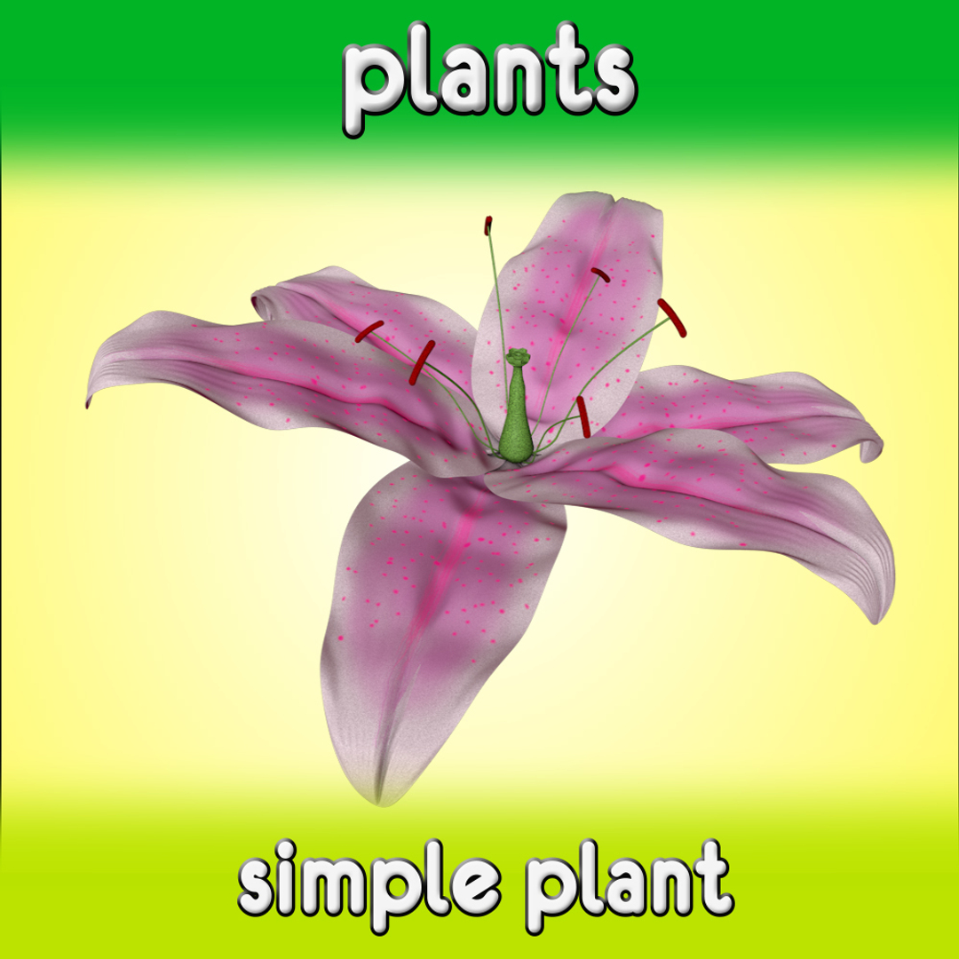 free flower 3d model