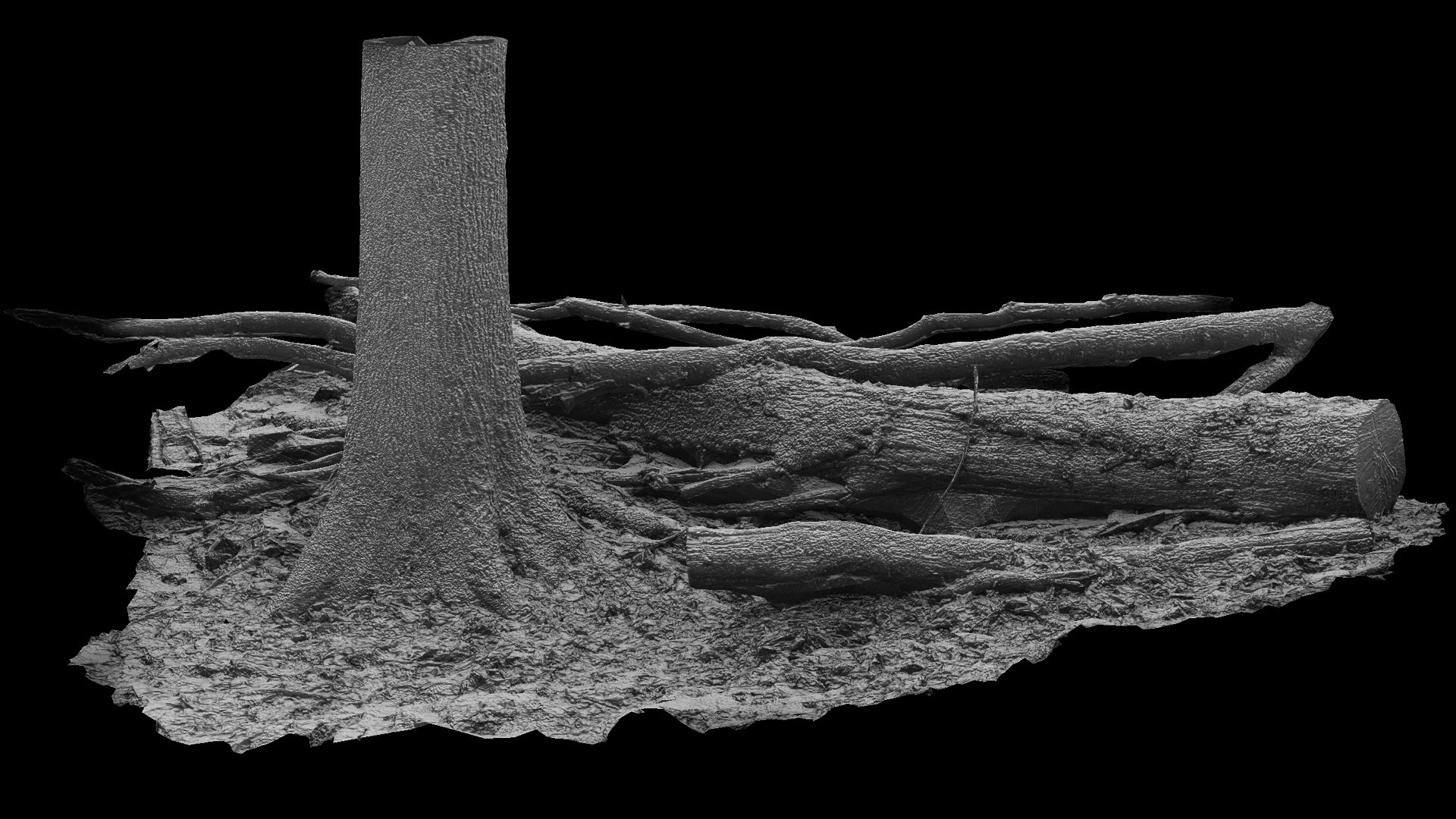 Forest Ground Trees Mossy Trunks Debris Pt9 Photogrammetry 3D Model ...