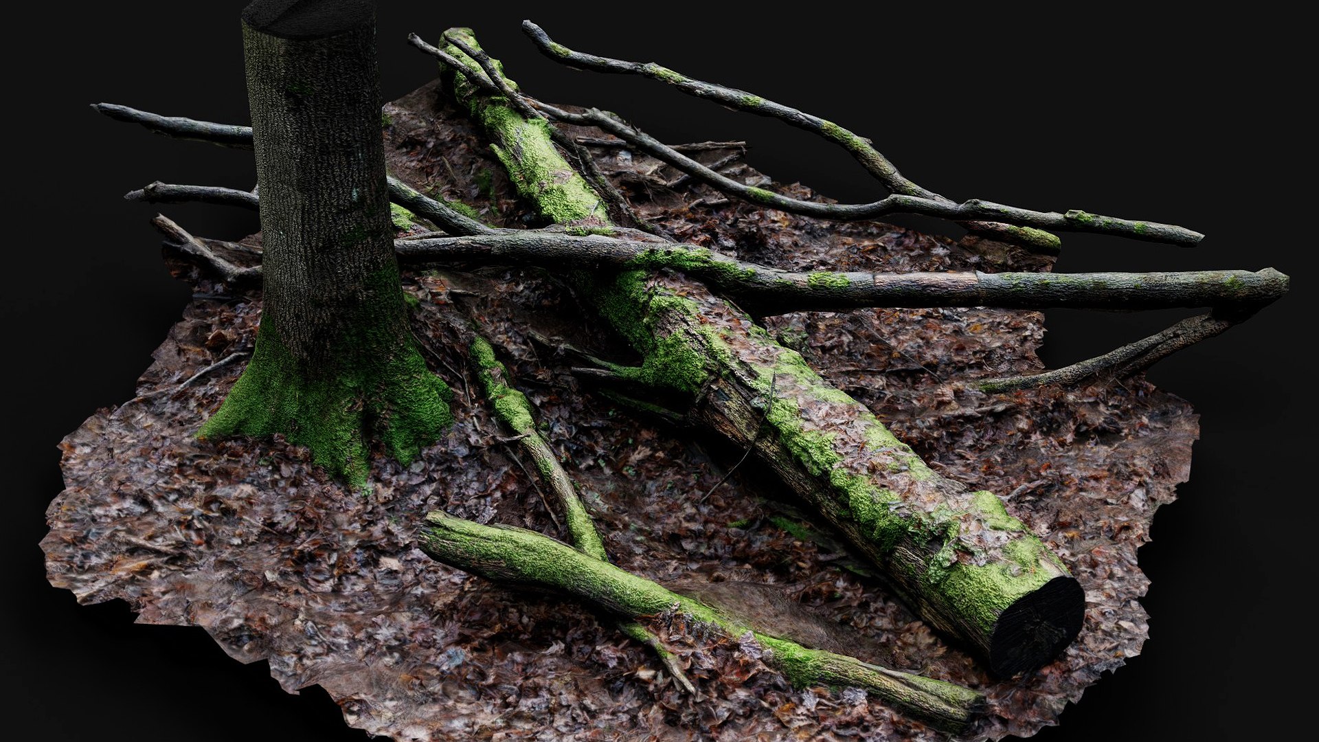 Forest Ground Trees Mossy Trunks Debris Pt9 Photogrammetry 3D Model ...
