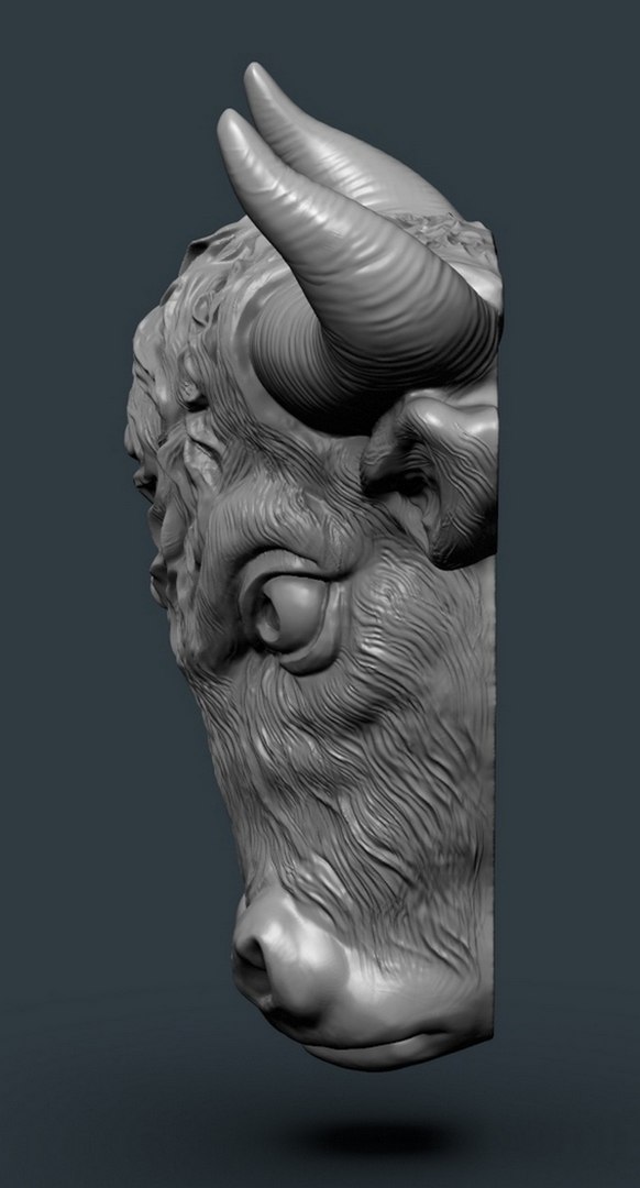 Bull Head 3D - TurboSquid 1795132