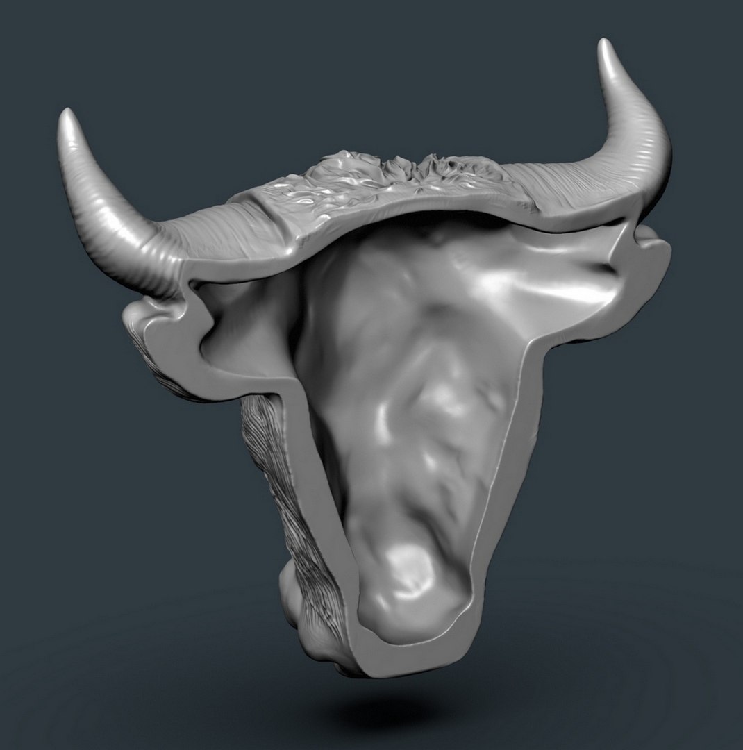 Bull Head 3D - TurboSquid 1795132