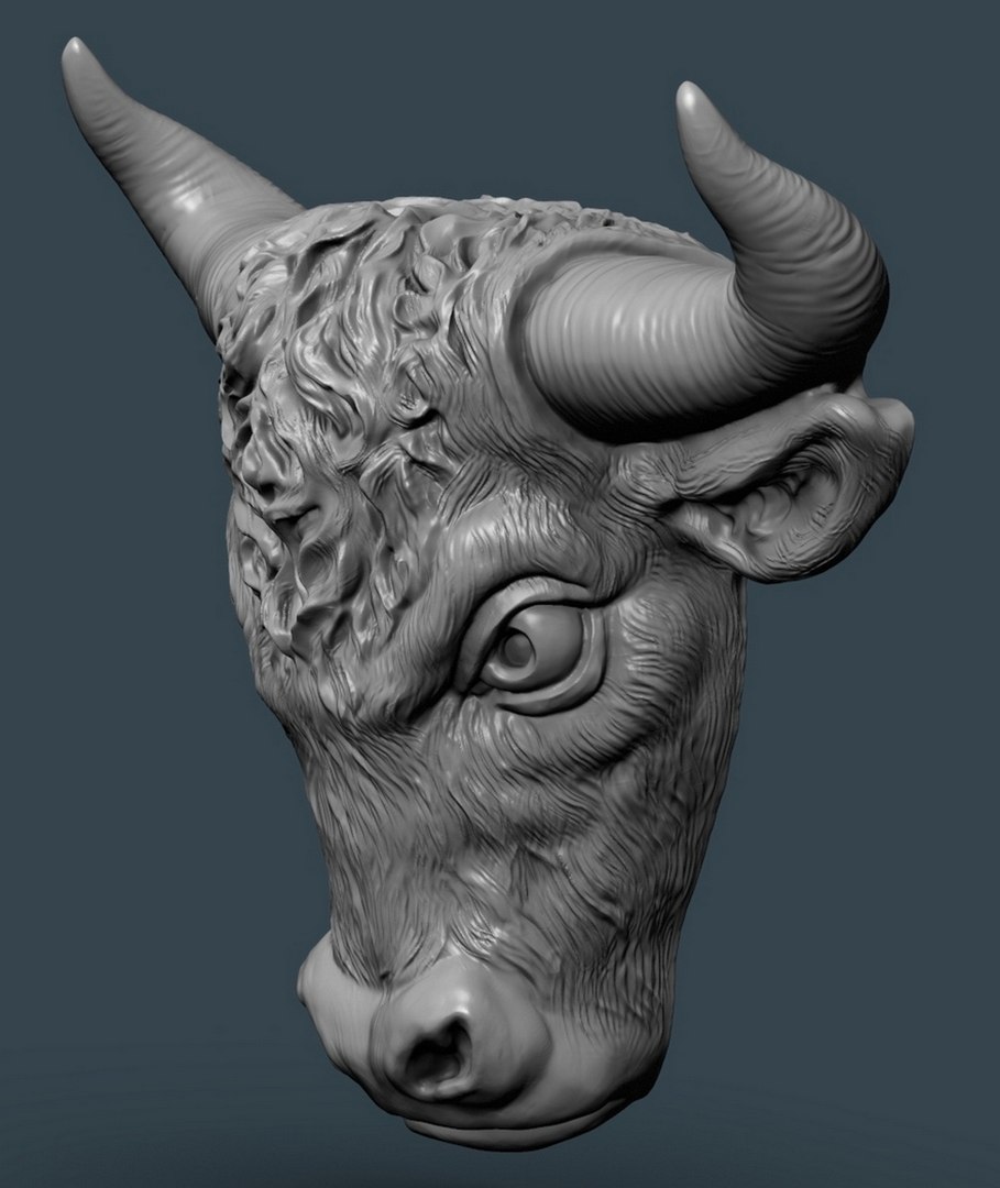 Bull Head 3D - TurboSquid 1795132